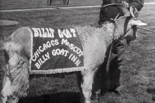 The Infamous “Billy Goat Curse” Is Put On the Cubs, 73 Years Ago Today ...