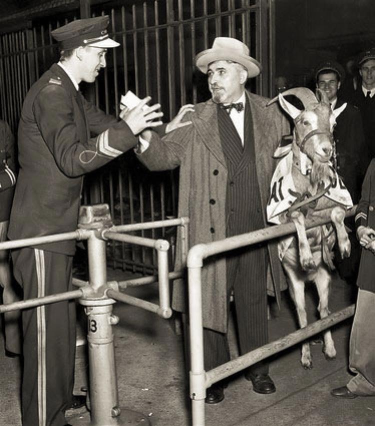 1-goat-2 | Baseball History Comes Alive!